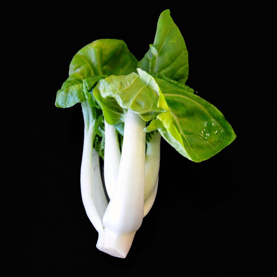 Pak Choi, Bok Choy, Pok Choi, Dwarf Pak Choi, White Stem Pak Choi, Nai ...