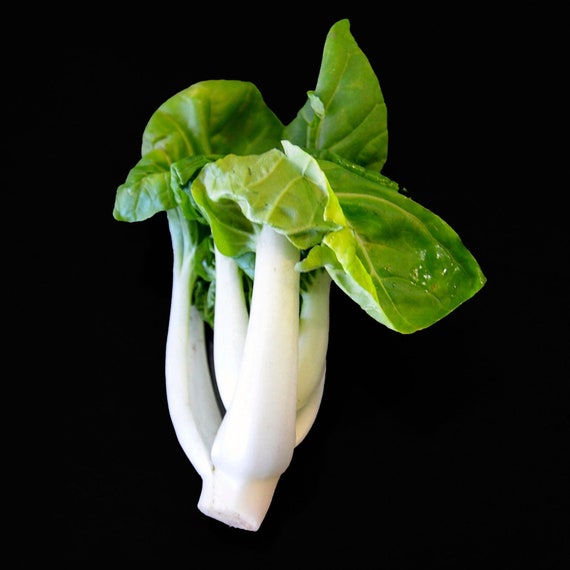 Pak Choi Bok Choy Pok Choi Dwarf Pak Choi White Stem Pak - Etsy