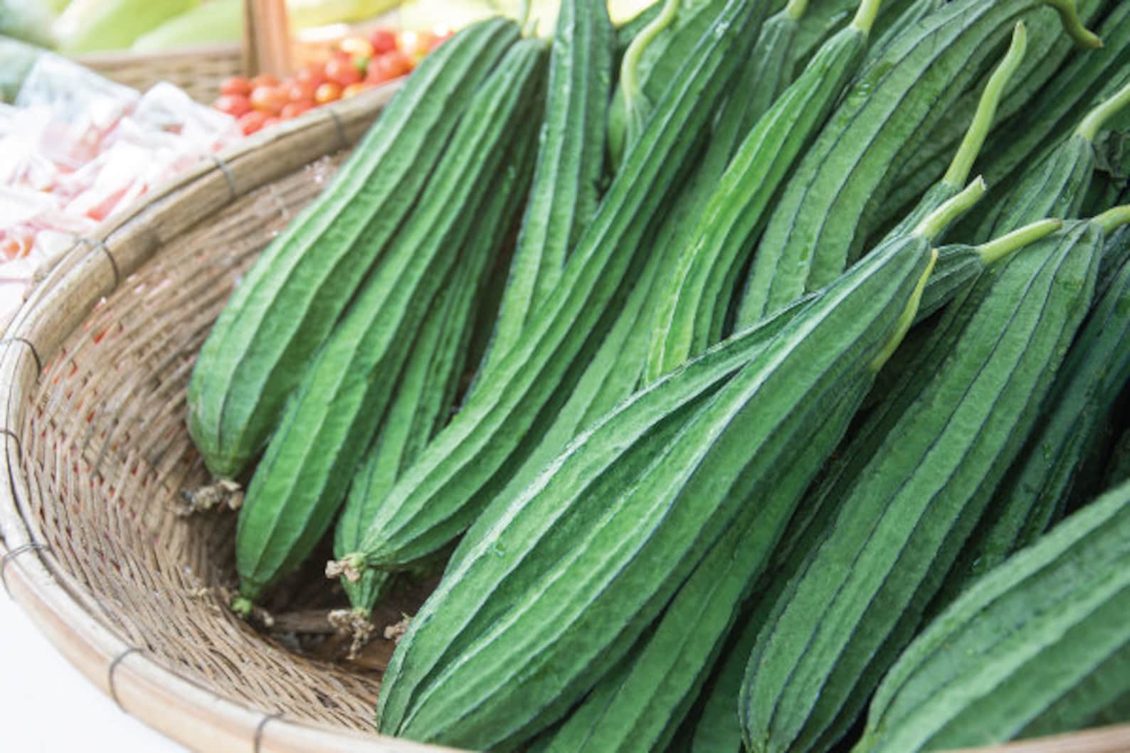 Angled Luffa, Chinese Okra, Tori, Turai, Beerakayi, Ridged Loofah Gourd ...