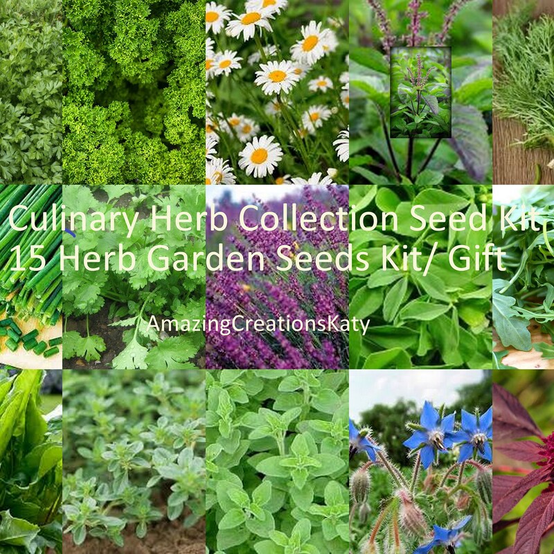 Herb Garden Kit - Etsy