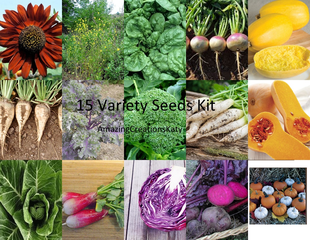 Heirloom Fall Garden Seeds Kit/ 15 Variety Seeds Kit/ Best Gardening ...