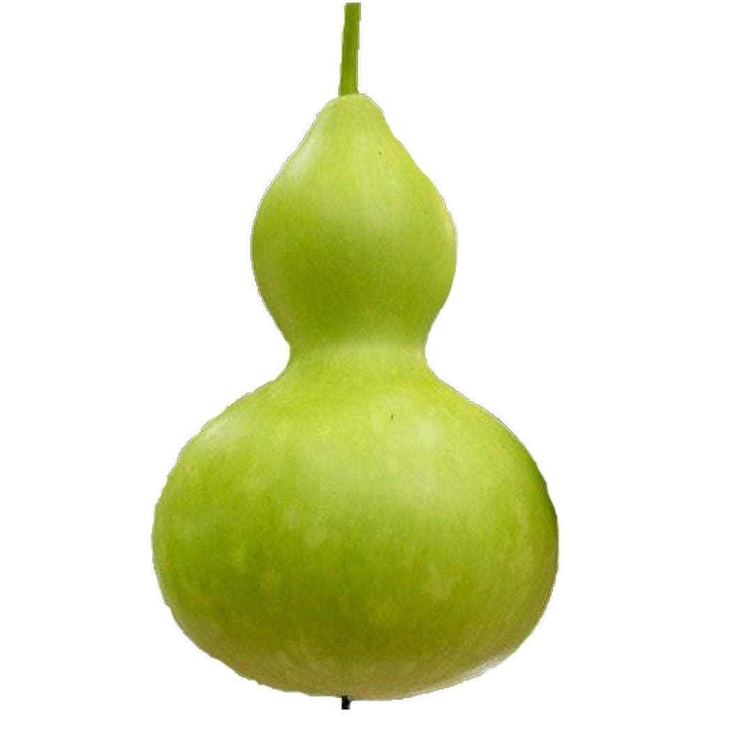 Bottle Gourd Clipart