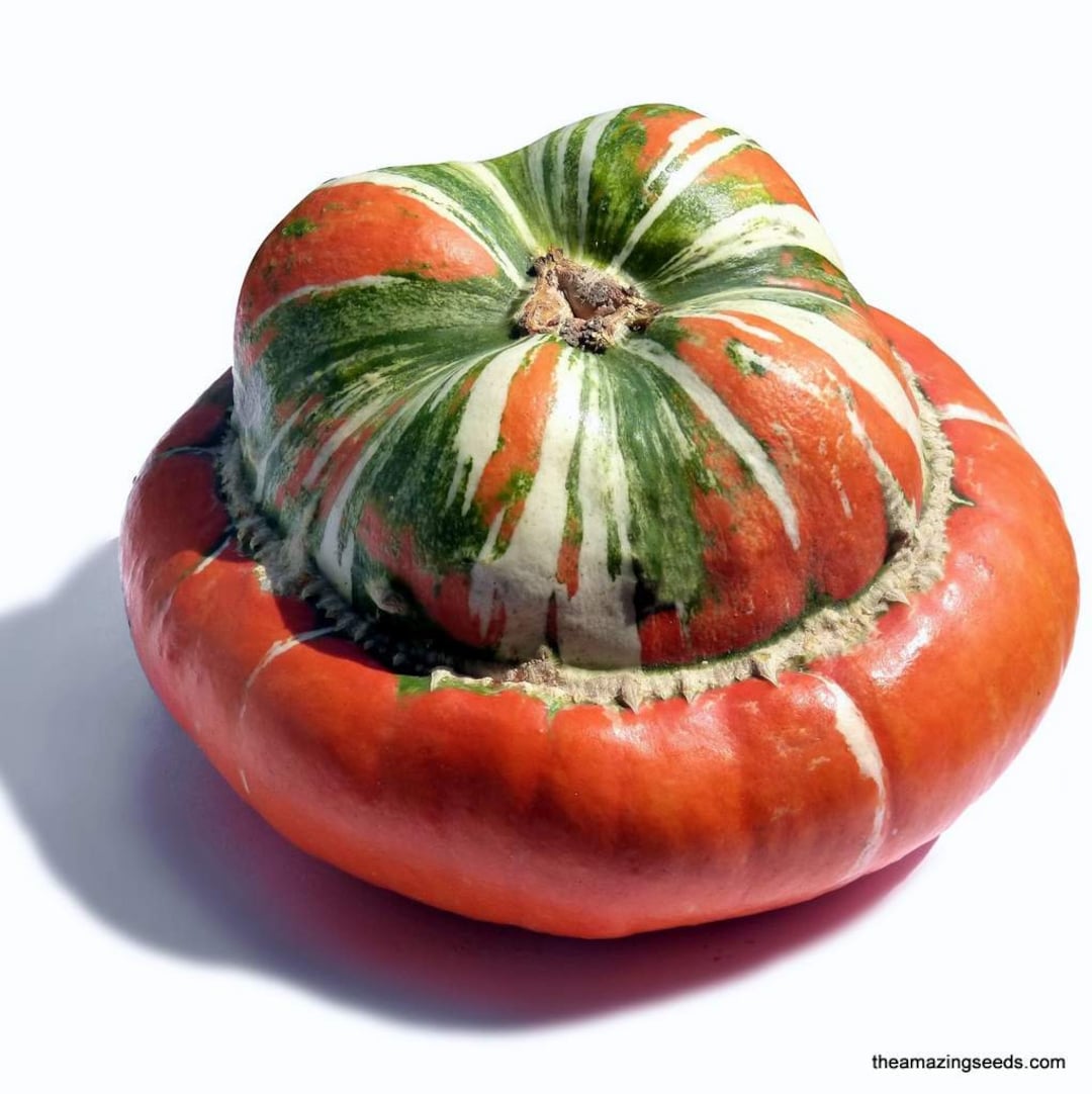 Gourd, Turk’s Turban, Cucurbita Maxima, Turban Squash, French Turban ...