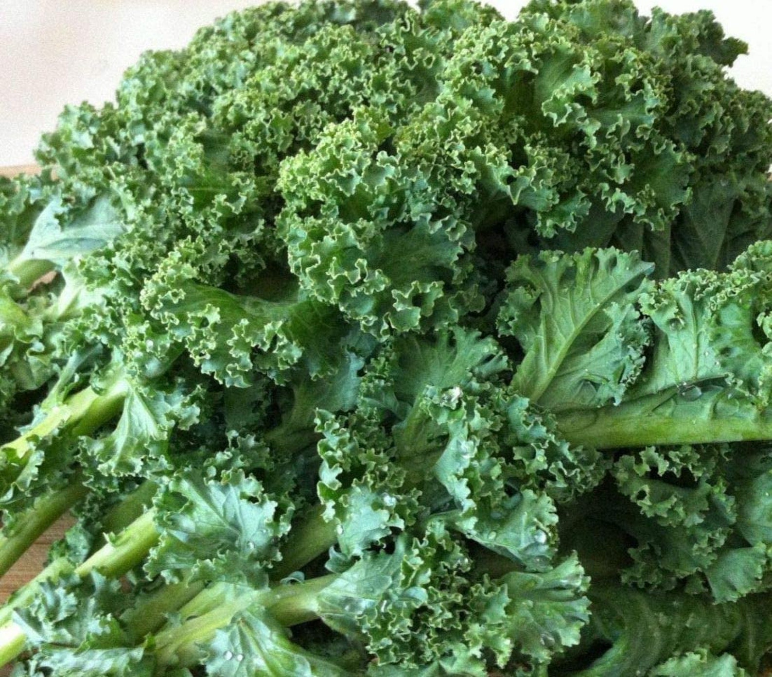 Dwarf Siberian Improved KALE Seeds/leafy Vegetable/heirloom | Etsy