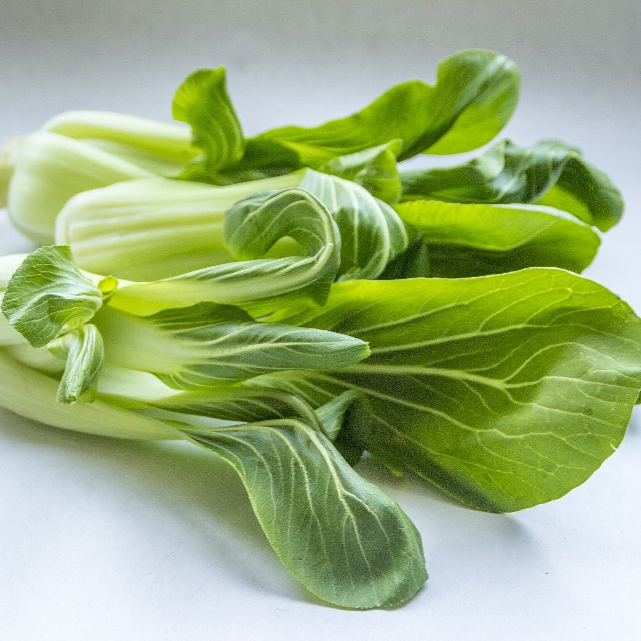Pak Choi, Bok choy, Pok choi, Tatsoi, White Stem Chinese cabbage, Leafy ...