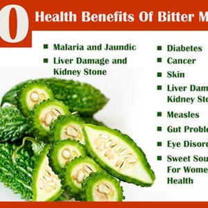 Small Bitter Gourd, Mini Bitter Melon, Kakarakaya, Karella, Balsam Pear ...