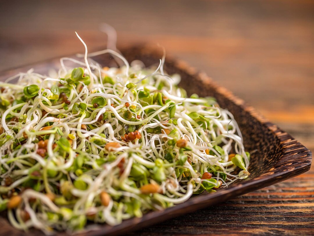 Heirloom Bean Salad Sprouting Mix-1 (mung Bean, Adzuki, Red Lentil ...