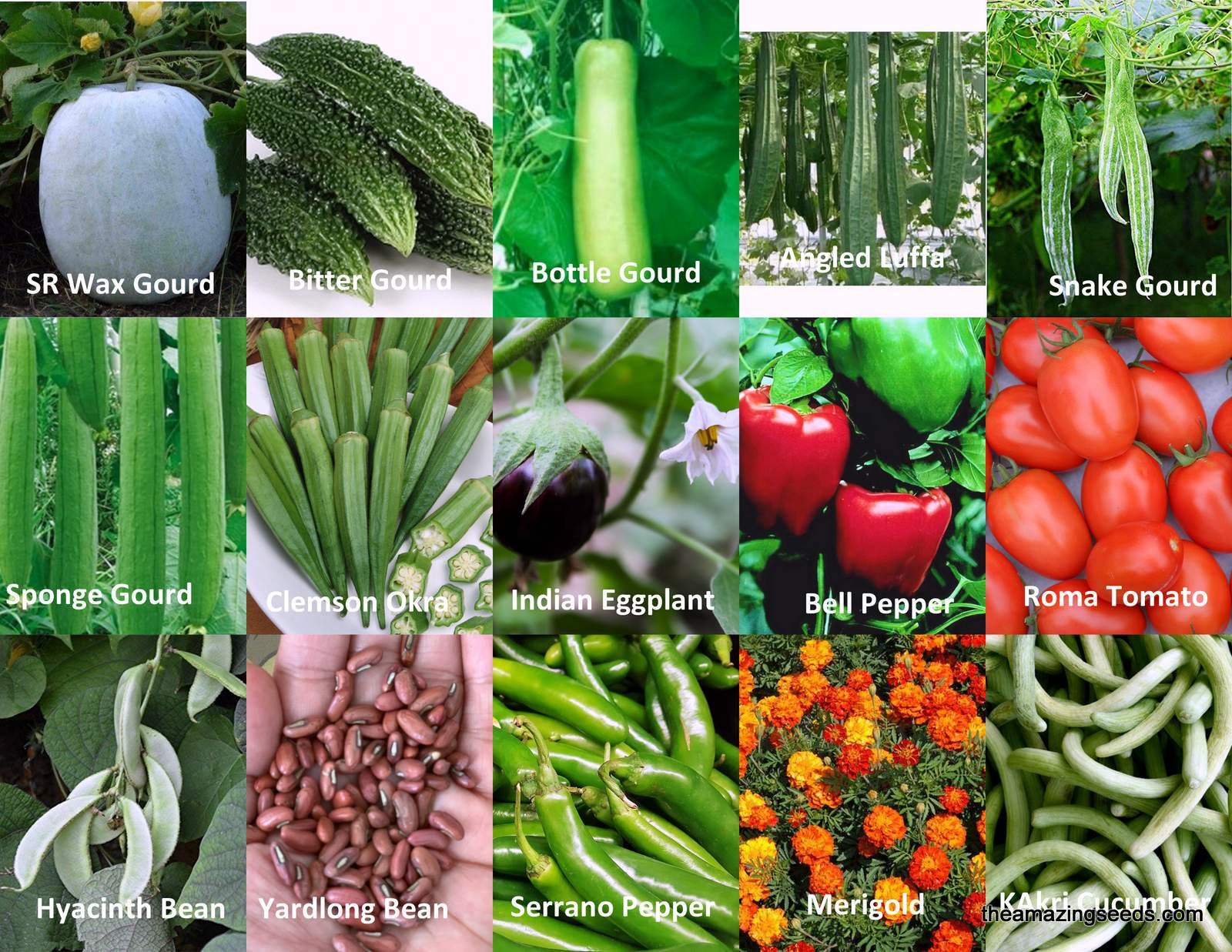 Asian Garden Vegetable Seed Kit, 15 Variety of Seeds, Heirloom, Non GMO ...