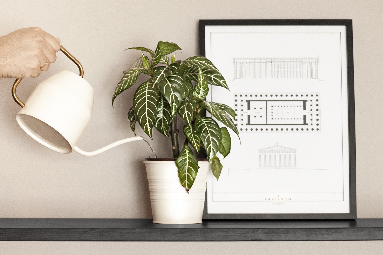 PARTHENON PRINT / Architectural Blueprint Poster Architecture Sheet ...