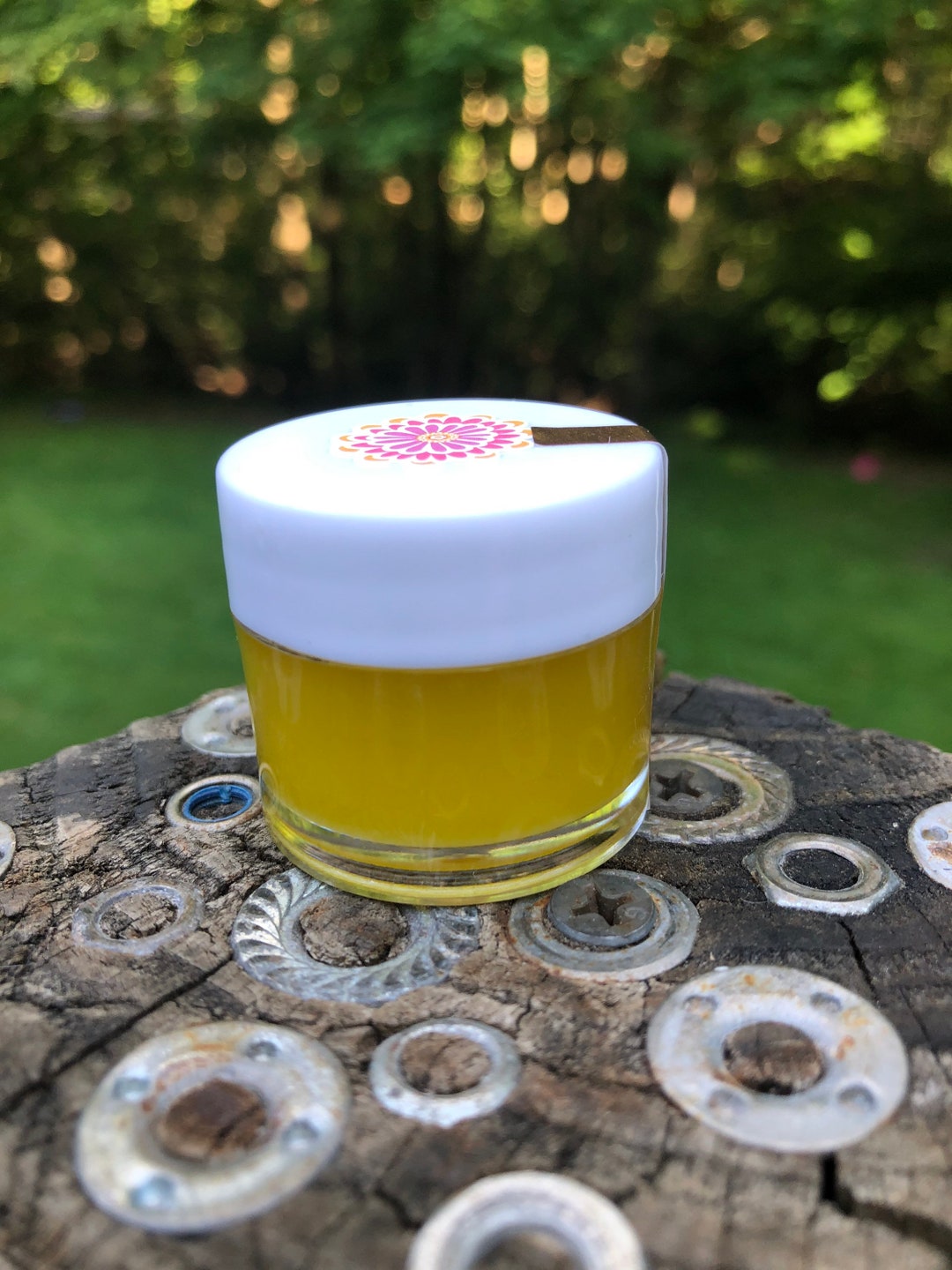 All Natural Dandelion Salve Medicated Dandelion Infused Salve, Sore ...