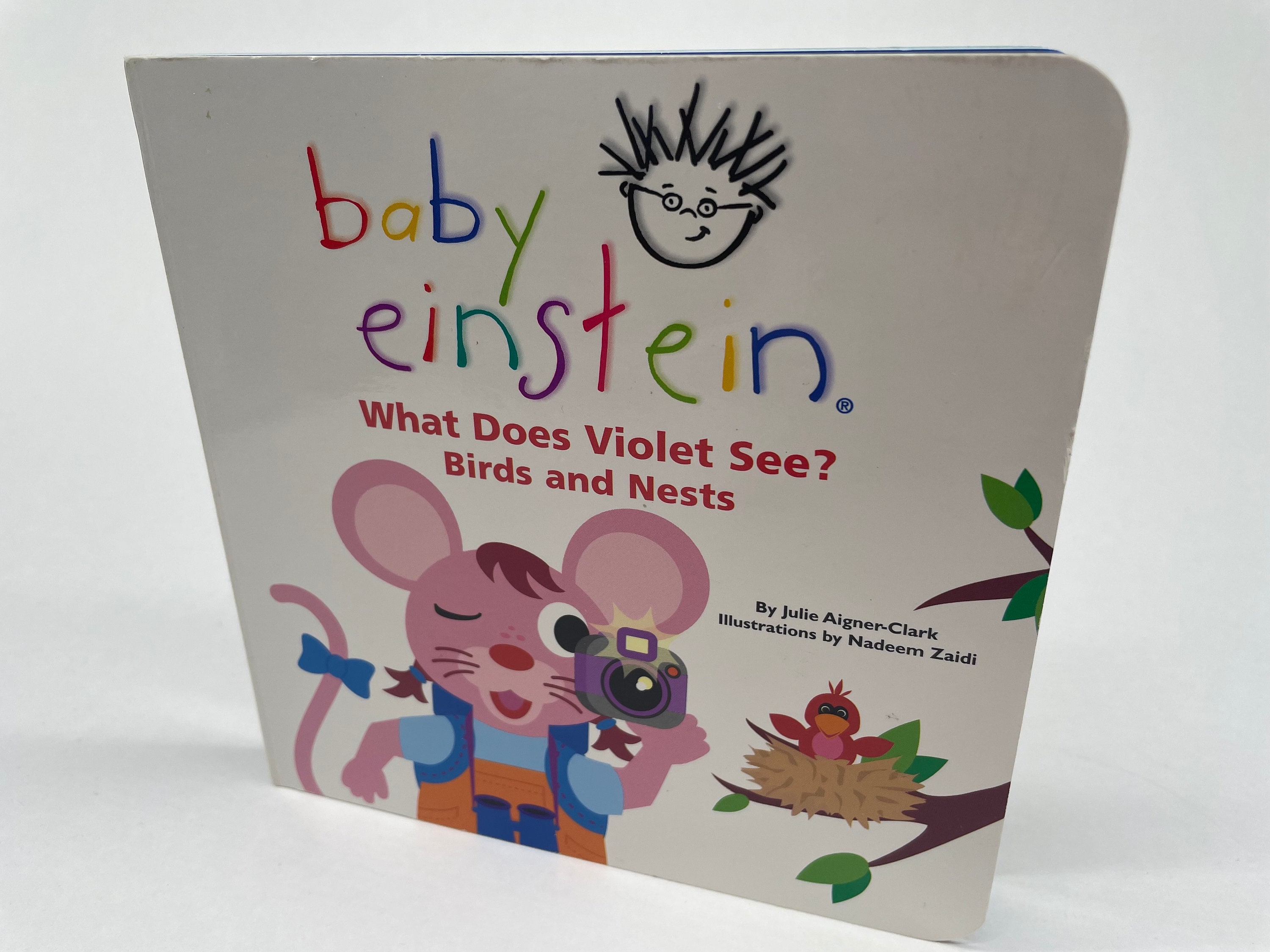 Baby Einstein What Does Violet See Birds and Nests Cardboard Book - Etsy