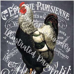 French Rooster Chalkboard Printable Digital Download Portrait and Wide ...
