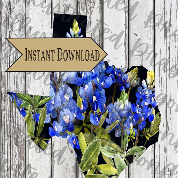 Bluebonnet Clip Art - Etsy