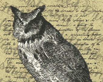 Owl Script - Etsy