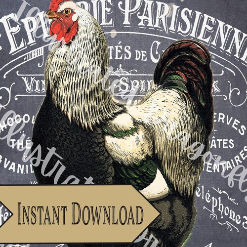 French Rooster Chalkboard Printable Digital Download Portrait | Etsy