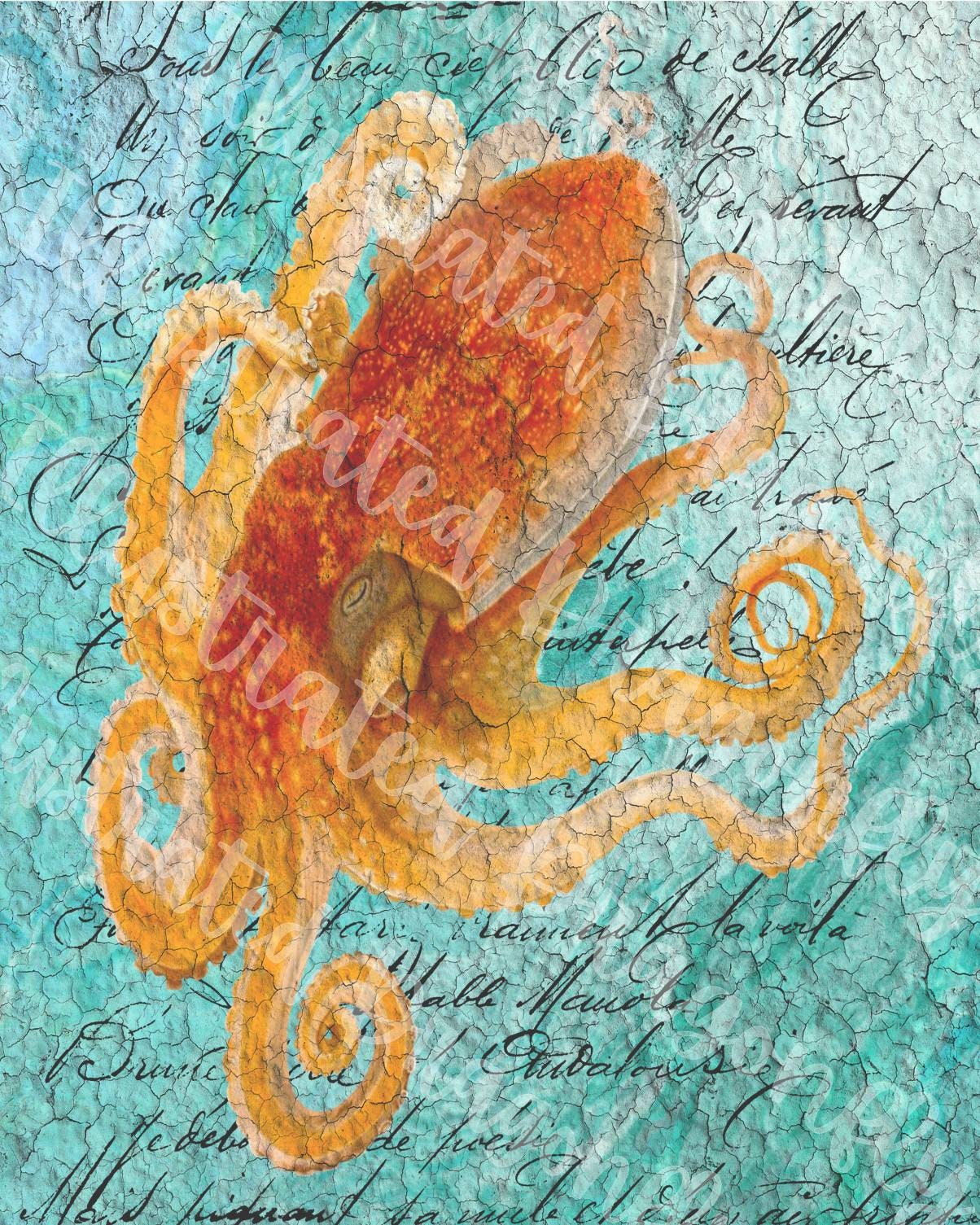 Octopus Ephemera French Script Printable Image Digital Download Octopus ...