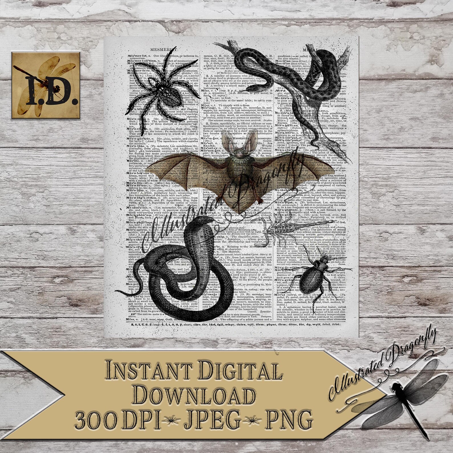 Halloween Animal Dictionary Printable Digital Download Clip Art Fabric ...