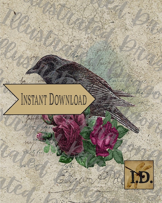 Gothic Edgar Allan Poe Raven and Roses Digital Download Clip | Etsy