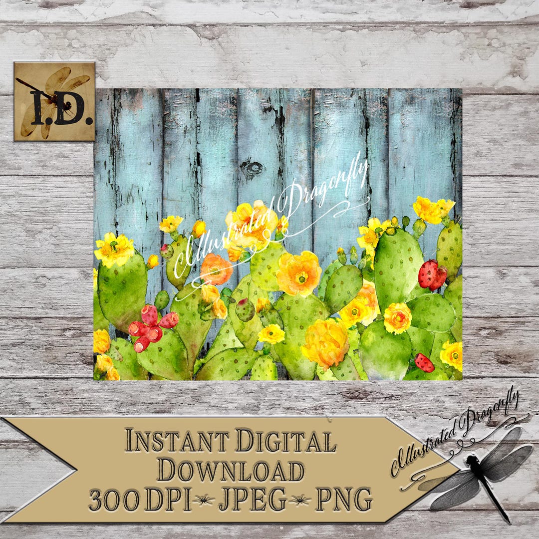 Country Rustic Farmhouse Cactus Flower Printable Digital Download Clip ...