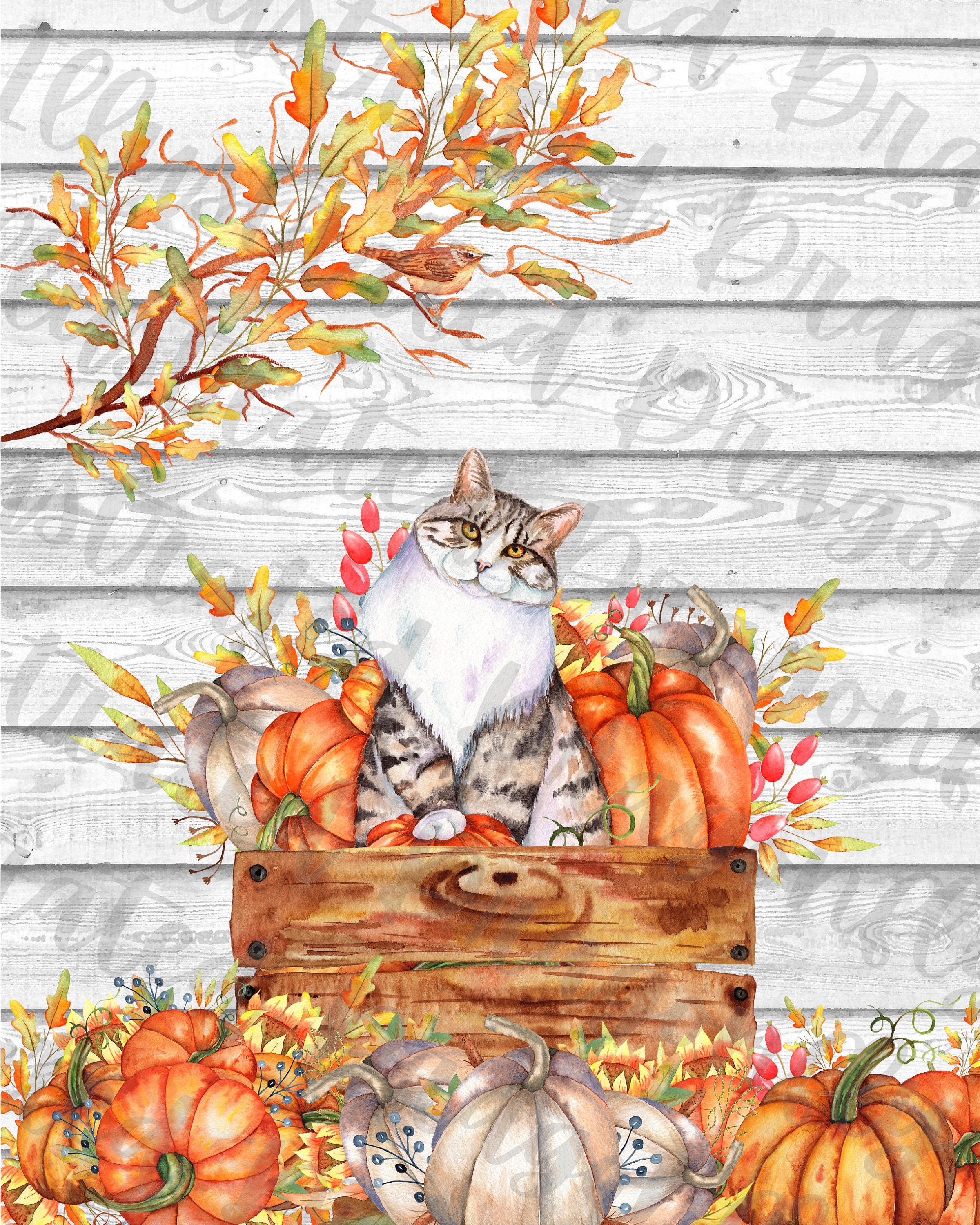 Autumn Fall Cat With Pumpkins Printable Instant Digital Download Clip ...