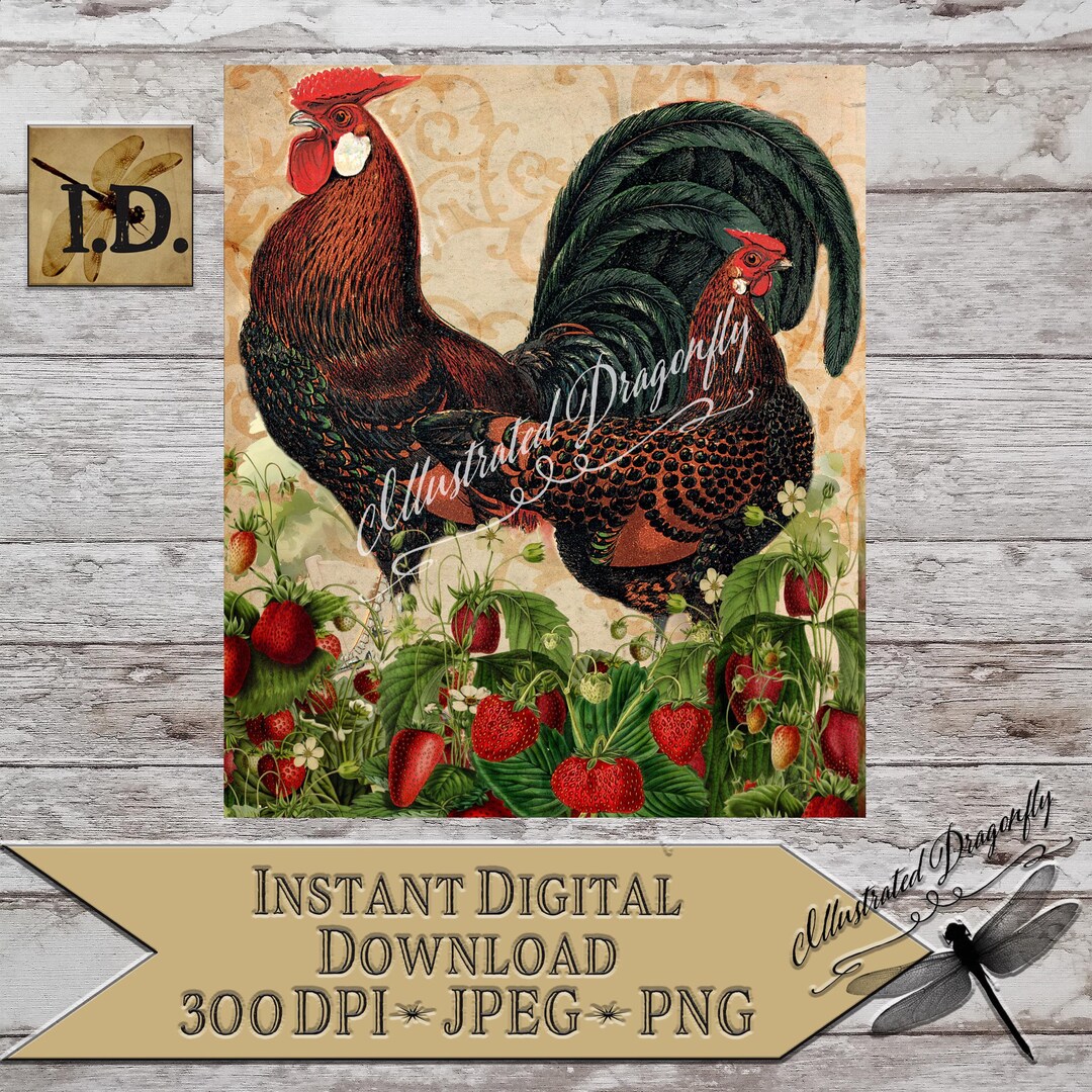 Rustic Rooster Strawberries Art Country Farmhouse Print for Kitchen ...