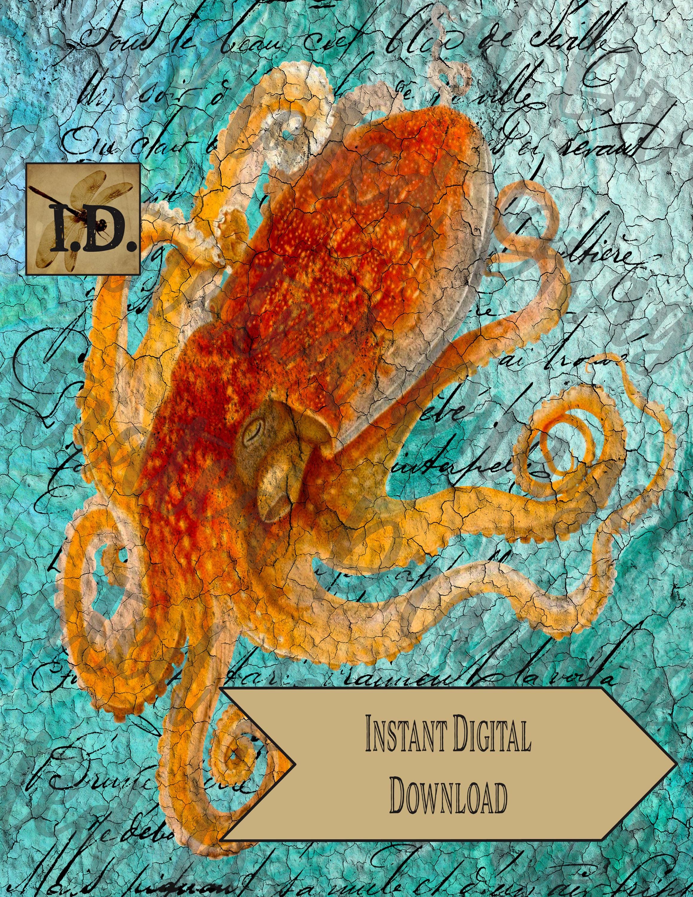 Octopus Ephemera French Script Printable Image Digital Download Octopus ...