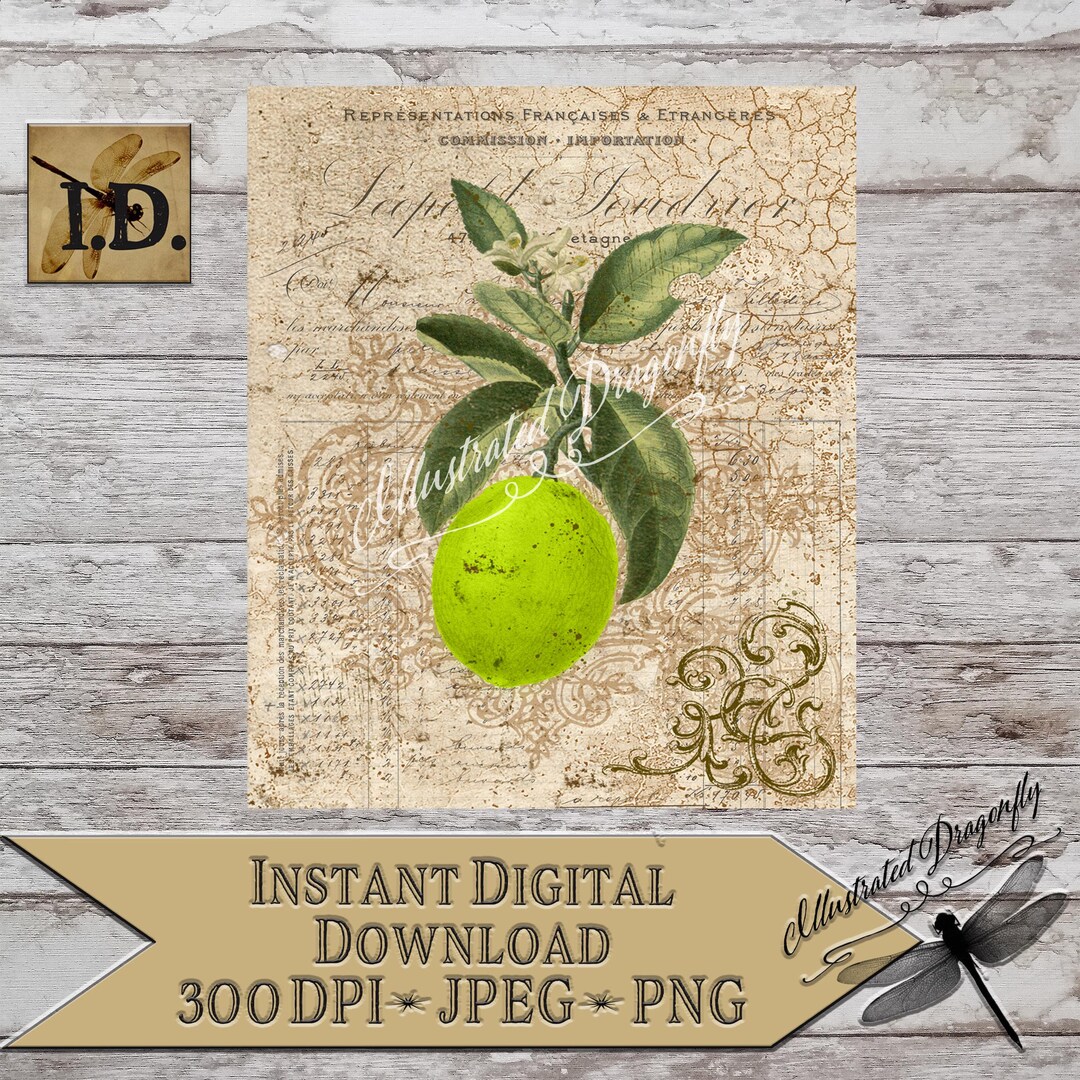 Lemon Botanical French Ephemera Printable Digital Download Clip Art ...