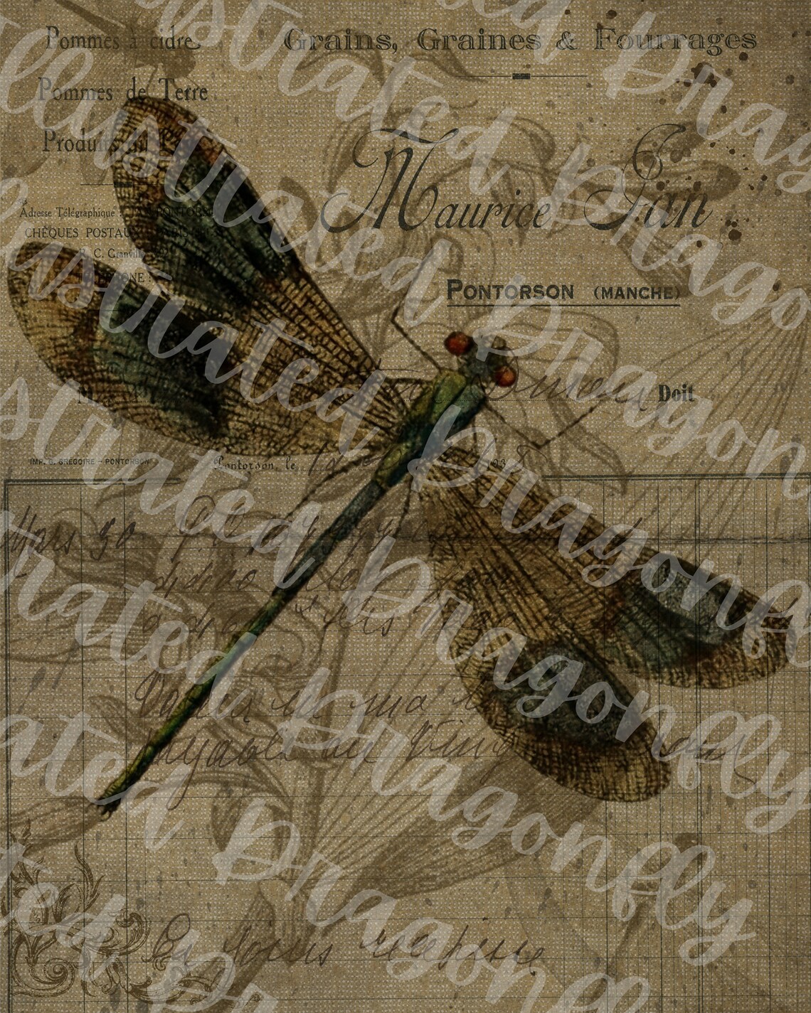 French Script Dragonfly Ephemera Printable Digital Download Clip Art ...