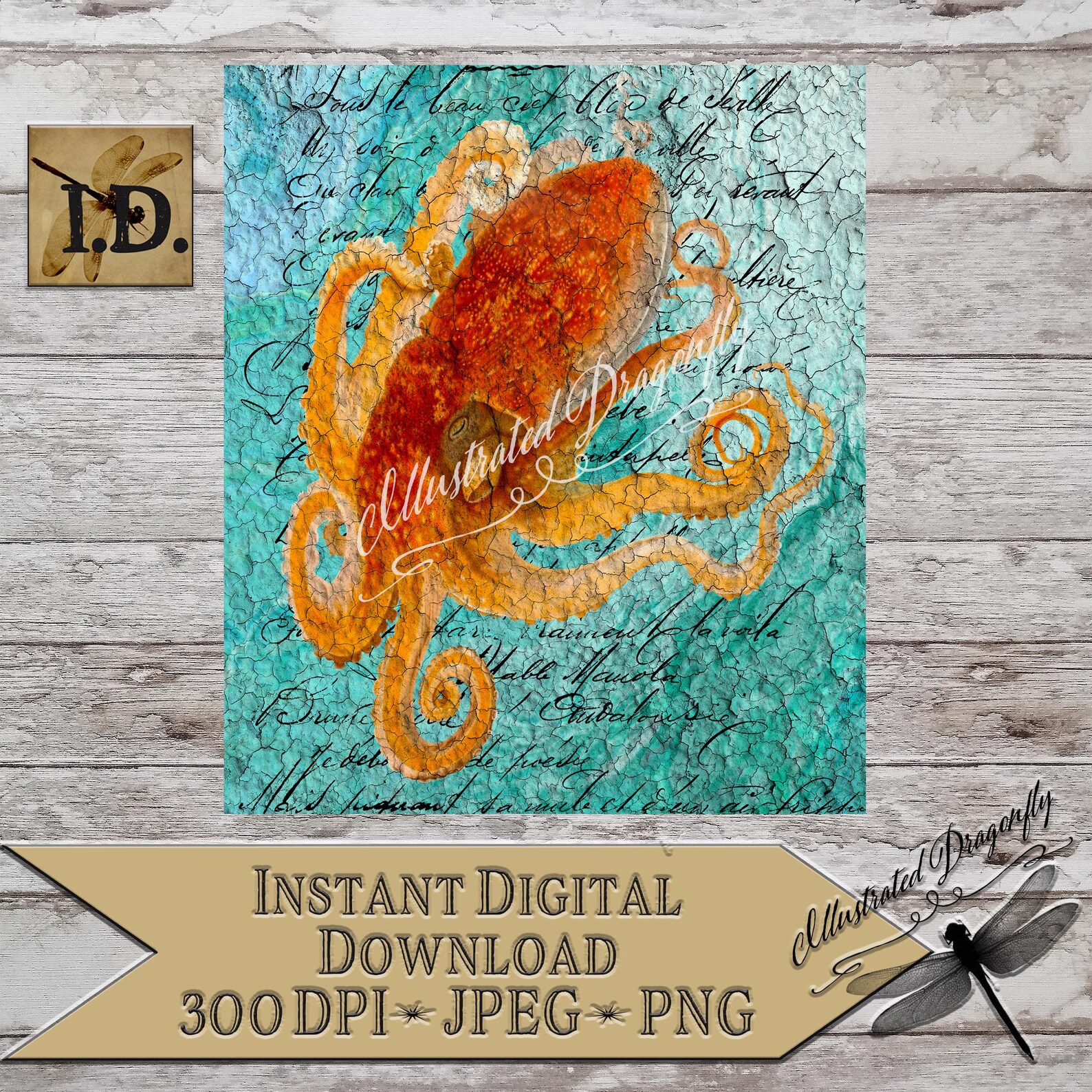 Octopus Ephemera French Script Printable Image Digital Download Octopus ...