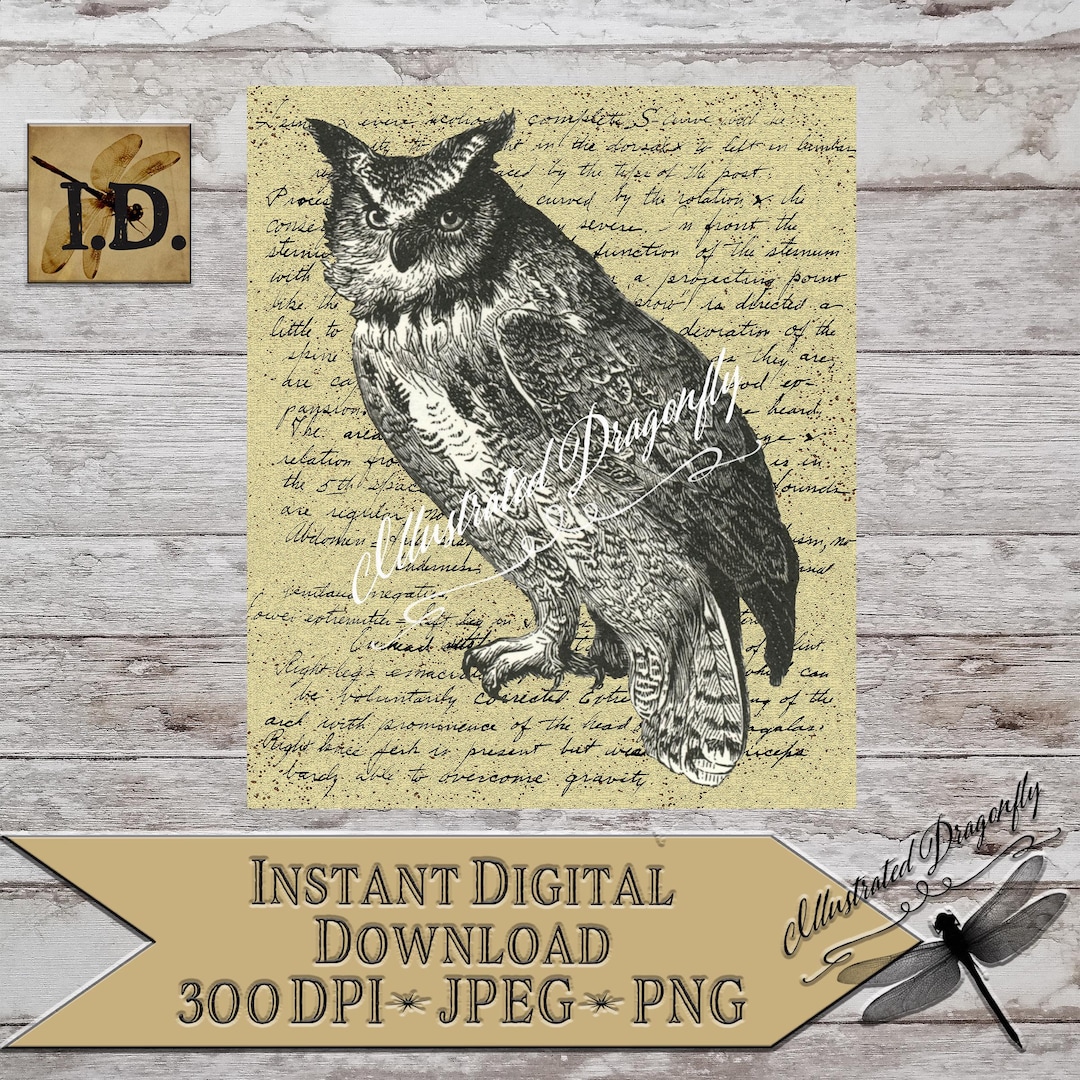 Halloween Owl Script Printable Digital Download Clip Art Fabric ...