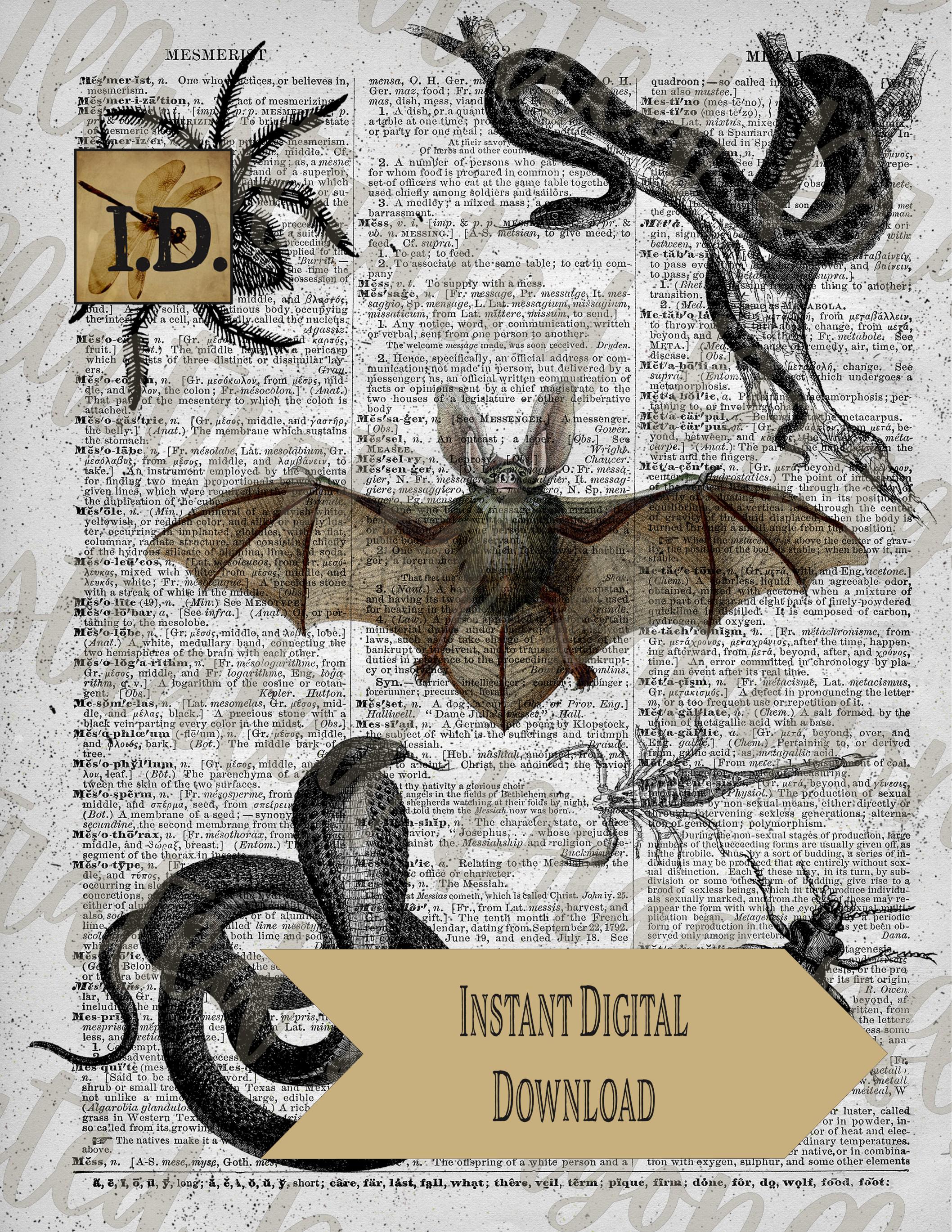 Halloween Animal Dictionary Printable Digital Download Clip Art Fabric ...