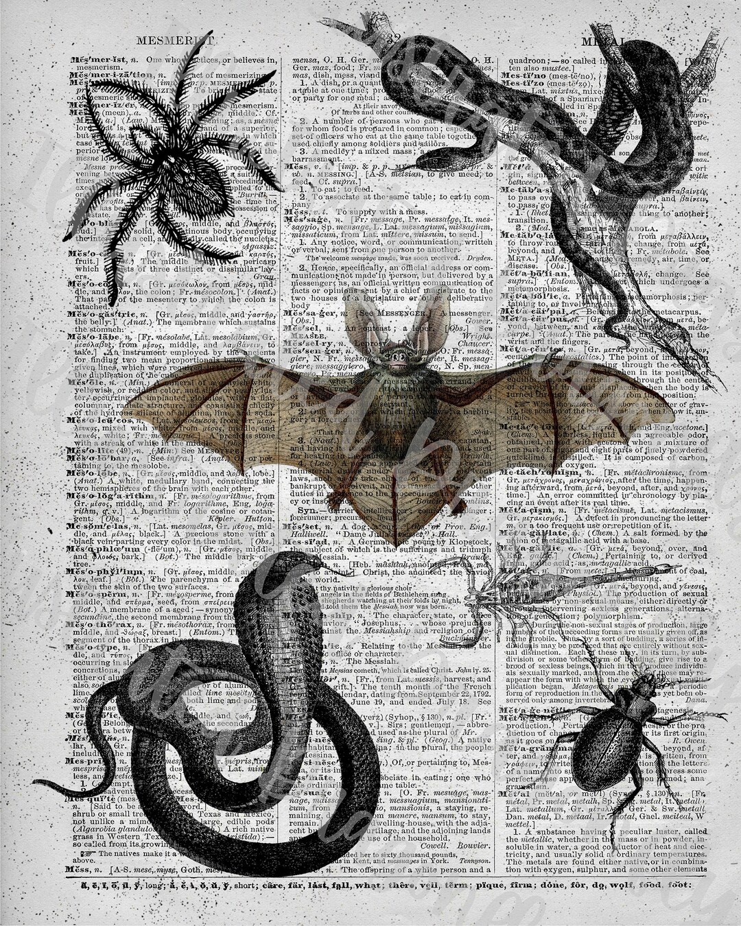 Halloween Animal Dictionary Printable Digital Download Clip - Etsy
