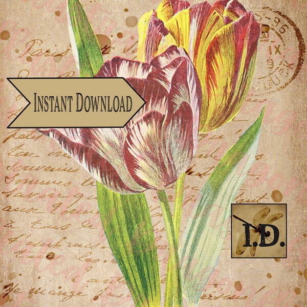 French Script - Etsy