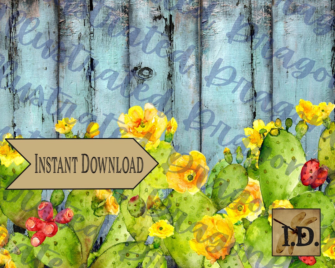 Country Rustic Farmhouse Cactus Flowers Printable Digital - Etsy