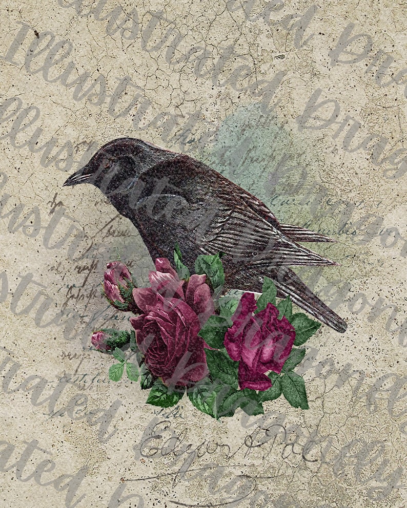 Gothic Edgar Allan Poe Raven and Roses Digital Download Clip Art ...