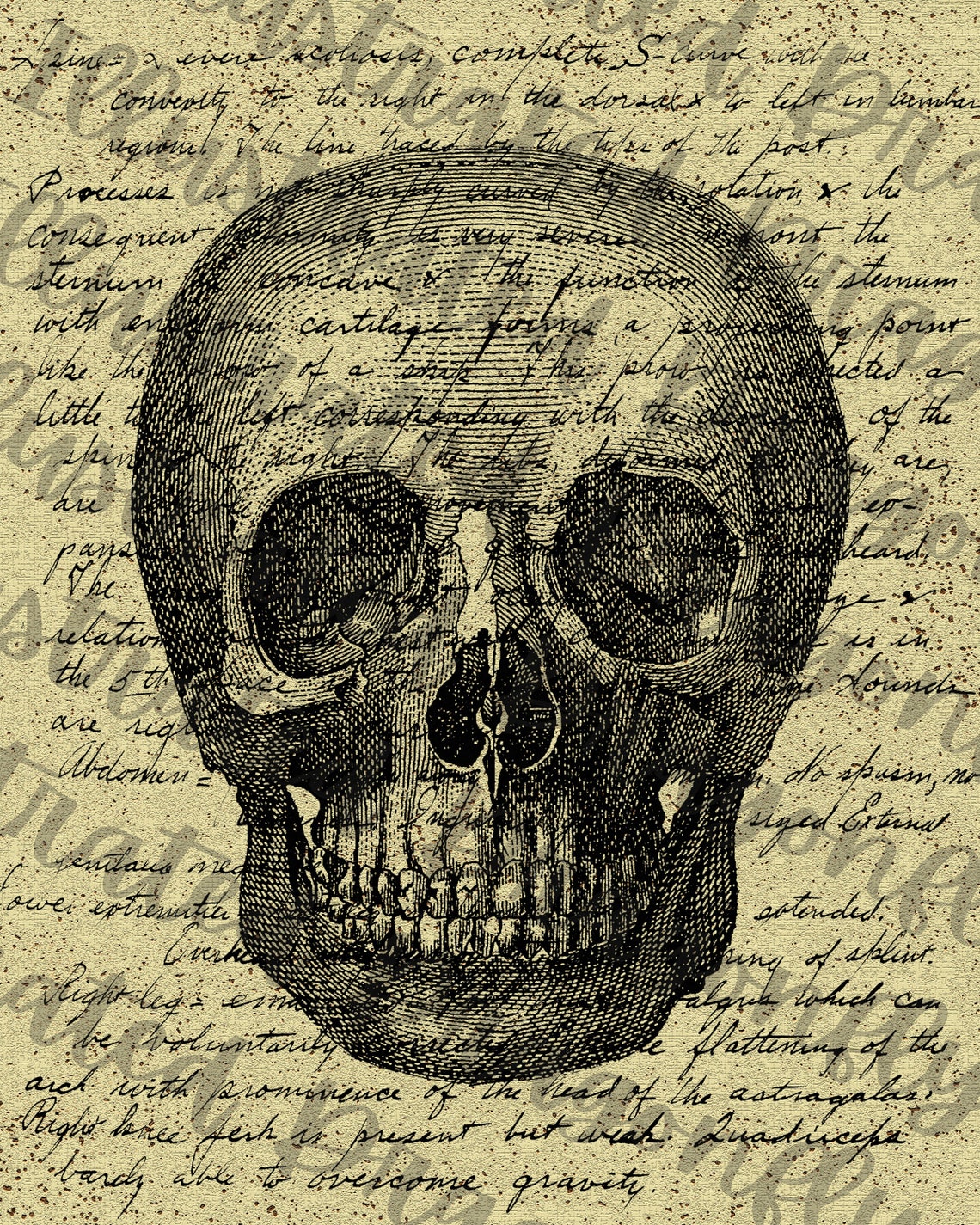 Vintage Skull Script Halloween Printable Clip Art Instant Download ...