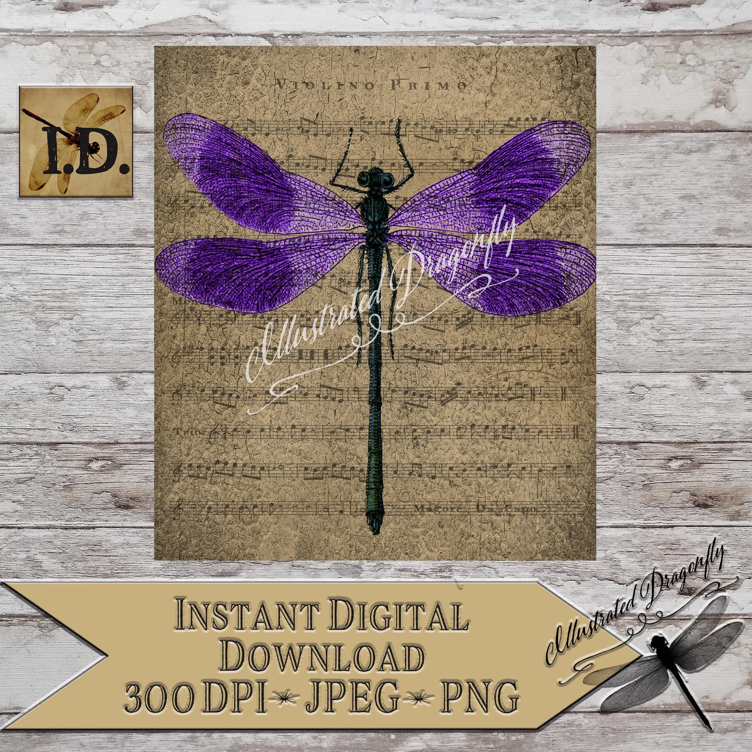 Vintage Dragonfly Sheet Music Printable Digital Download Clip Art ...