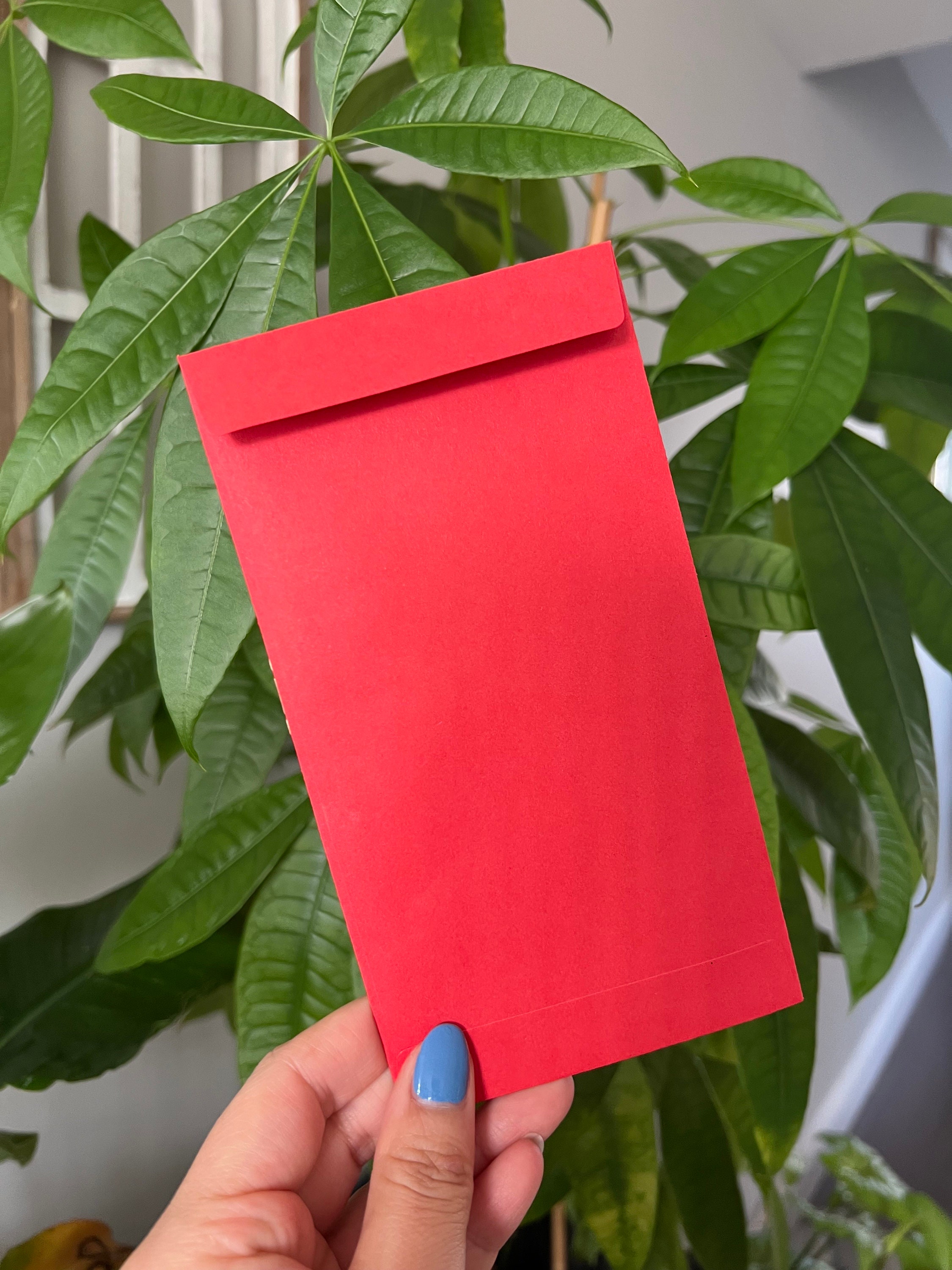 Set of 8 Year of the Dragon Money Envelopes, Chinese New Year 2024 ...