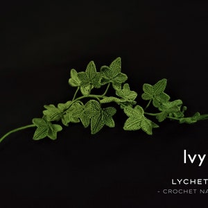 Crochet Ivy (hedera)- Crochet Pattern - Etsy