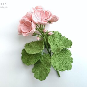 Crochet Geranium, Pelargonium Pattern- Crochet Flower Pattern - Etsy