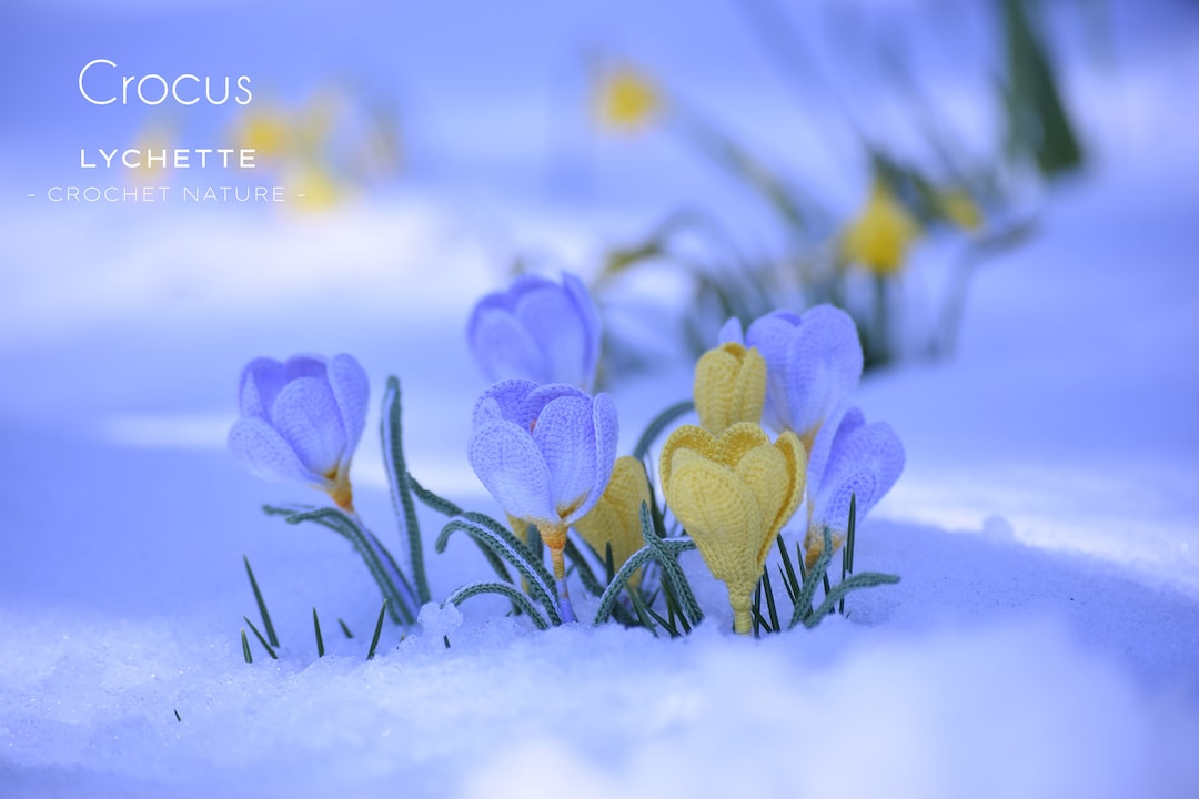 Crochet Crocus - Crochet Flower Pattern for Crocus - Etsy