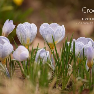 Crochet Crocus - Crochet Flower Pattern for Crocus - Etsy