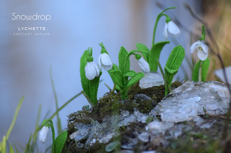 Crochet Snowdrop - Crochet Flower Pattern - Etsy