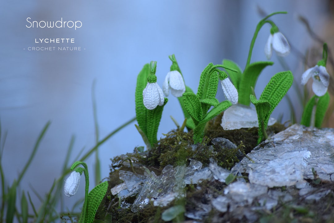 Crochet Snowdrop - Crochet Flower Pattern - Etsy