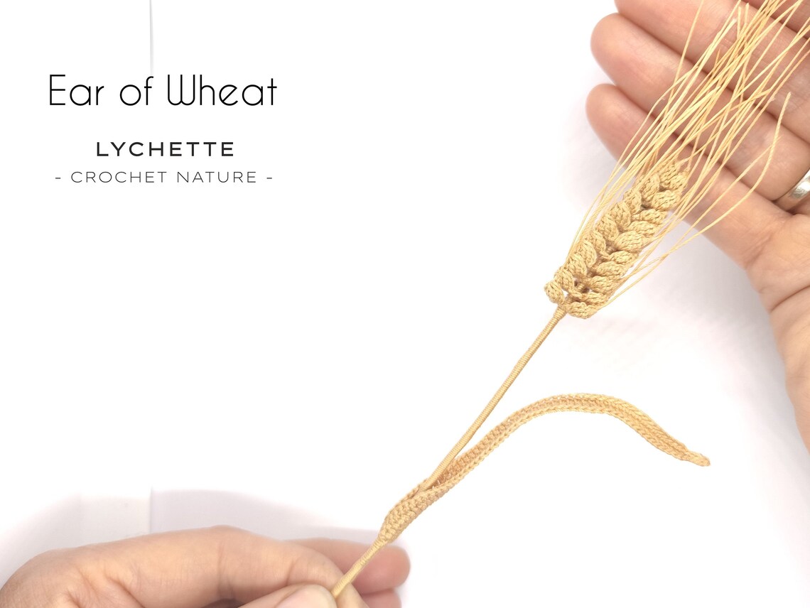 Crochet Ear of Wheat Pattern - Crochet Flower Pattern - Etsy