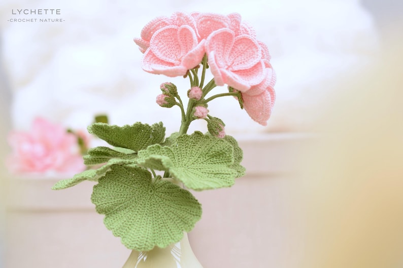 Crochet Geranium, Pelargonium Pattern- Crochet Flower Pattern - Etsy