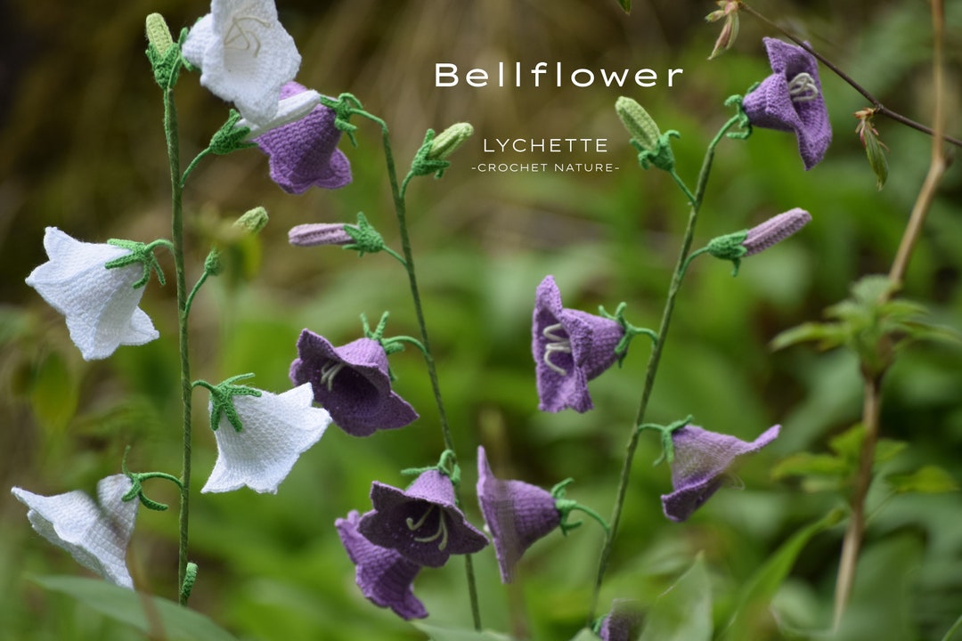Crochet Bellflower Pattern - Crochet Flower Pattern - Etsy