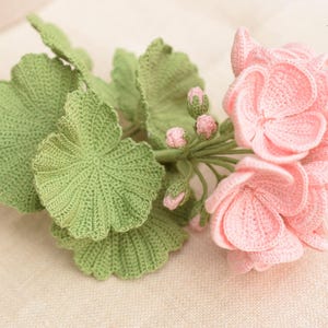 Crochet Geranium, Pelargonium Pattern- Crochet Flower Pattern - Etsy