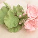 Crochet Geranium, Pelargonium Pattern- Crochet Flower Pattern - Etsy