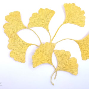 Crochet Ginkgo Biloba Leaf Pattern, Crochet Fall Leaves - Etsy
